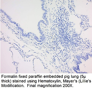 Hematoxylin, Mayer's (Lillie's Modification), 500ml