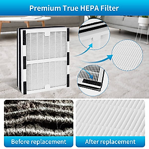 KEEPOW IAF-H-100A Replacement Filter Compatible with Idylis IAP-10-100, IAP-10-150, IAPC-40-140, AC-2119, IAF-H-100A, 0302648, 412564, 0412564 (2 HEPA Filter + 2 Carbon Filters)