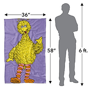LOGOVISION Sesame Street Big Bird Painted Officially Licensed Fleece Blanket 36" x 58"
