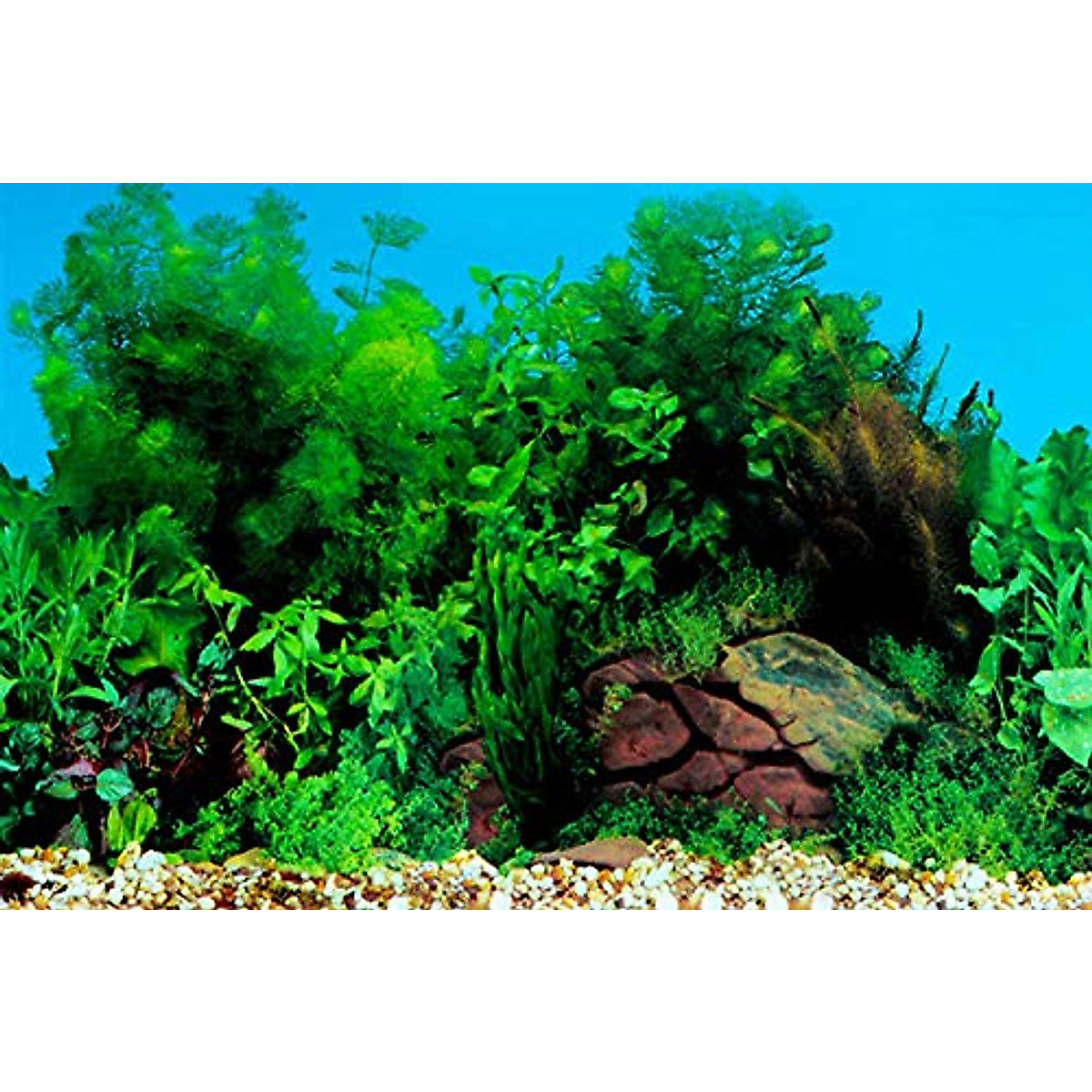 ELEBOX Fish Tank Stickers Wallpaper Seaweed Background Aquarium Background Decoration Water Plants Fish Tank Background 15.7"x 40"
