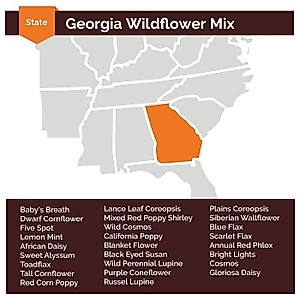 Georgia Wildflower Seed Mix - 5 Pounds - Mixed Wildflower Seeds, Attracts Bees, Attracts Butterflies, Attracts Hummingbirds, Attracts Pollinators, Easy to Grow & Maintain, Cut Flower Garden