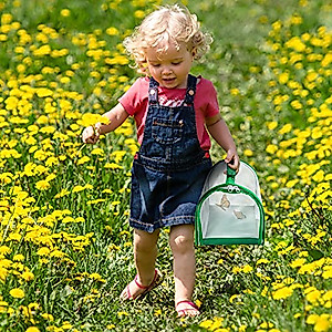 Small Butterfly Habitat, Insect Mesh Cage, Caterpillar Enclosure, Critter Cage, Bug Terrarium Portable Carry Handle Easy to Observe 8 x 8 x 8 Inches