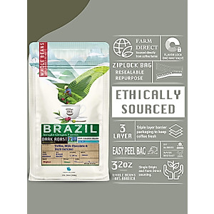32 Ounce (2 LB) NON-GMO Single Origin Dark Roast Brazil Coffee, Low Acidity all Natural, Single Origin Whole Bean Coffee Notes: Rich Dark Caramel, Milk Chocolate and Sweet Toffee - CoffeaFarms by Coffeeland