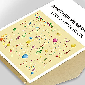 Cheeky Brother Birthday Card, Sister Birthday Card, Birthday Card for Sibling, Still A Little Bitch