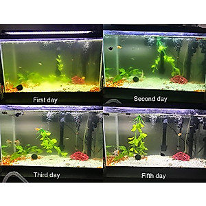 COODIA Internal Green Water Killer Filter Aquarium Tank U-V Pump