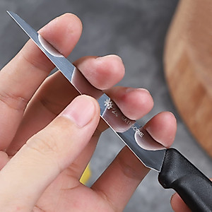 GAINSCOME Fruit Carving Knife Main Knife Super Sharp Stainless Steel Chef Food Carving Tools ABS Material Non-slip Enlarged Handle Mirror Light Process Processing Knife Surface Fruit Paring Knives