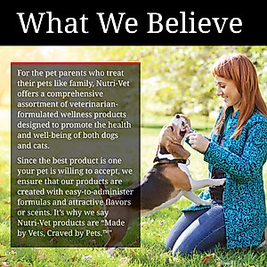 Nutri-Vet Ear Cleansing Pads for Dogs - Soothing & Non-Irritating - Removes Dirt & Wax Build Up - Maintain Dog Ear Health - 90 Count