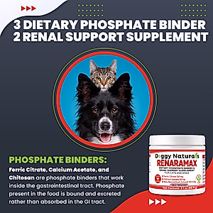 RENARAMAX Dietary Phosphate Binder for Cats & Dogs and Renal Support Supplement Powder for Pets, 120 dose (60.9 g) - (Made in U.S.A)