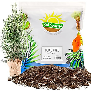 Olive Tree Potting Soil Mix (8 Quarts), for Planting, Repotting, and Growing Olive Bushes/Plants