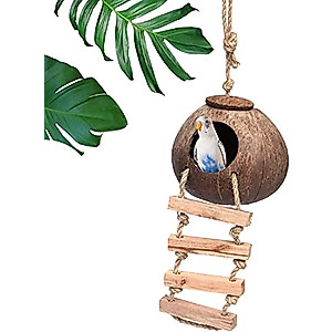 Hermit Crab Coconut Husk Hut with Ladder, Durable Cave Habitat with Hanging Loop for Gecko, Reptiles, Amphibians and Small Animals, 5” Diameter, 2.5” Opening