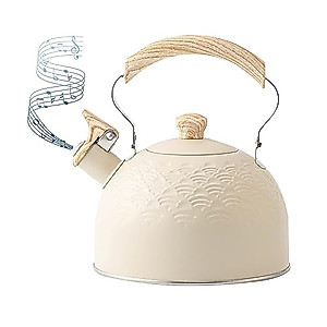 2.5L Stainless Steel Tea Kettle Teapot with Foldable Anti-Heat Handle,for Gas Hobs, Induction and Electric Hobs▂19 * 23cm/7.48"*9.06"