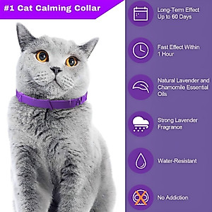 Calming Collar for Cats | 60 Days of Effective Stress and Anxiety Relief with Efficient Quick Release Pheromones | Soothing Comfort, Long-Lasting Calm That Reduces Stress and Helps Calm Cats Anxiety