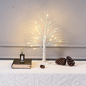 ESTTOP 2FT 24LT Led Lighted Birch Tree, 24 Inch Small White Money Artificial Fairy Tree for Christmas Decorations Indoor, Battery Powered Timer Wedding Party Home Mantle Table Top Centerpieces Decor