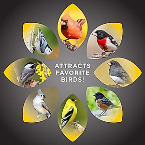 Audubon Park 12225 Premium Blend Wild Bird Food, 5-Pounds, 80 Fl Oz (Pack of 1)