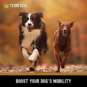 TEAM DOG Hip and Joint Chews for Dogs | Arthritis & Joint Support Supplements for Dogs | MSM, Chondroitin & Glucosamine for Dogs | Small, Medium & Large Breed | Chicken, Duck & Pea Flavor | 120 Count