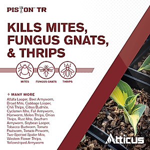 Piston TR Greenhouse Fogger (2oz Can) by Atticus (Compare to Pylon) - Total Release Chlorfenapyr Insecticide/Miticide - Controls Mites, Thrips, Caterpillars, and Adult Fungus Gnats