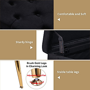 TENLLEY Storage Bench-Entryway Bench,Ottoman for Bedroom End of Bed,Modern Velvet Benche Bedroom Benches for Foot of Bed,Upholstered Bench with Golden Legs 40" Black