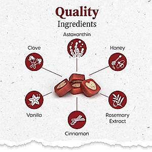 Ark Naturals Protection+ Brushless Toothpaste, Dog Dental Chews for Mini Breeds, Prevents Plaque & Tartar, Freshens Breath, 4oz, 1 Pack