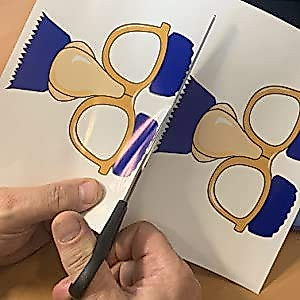 PPD 10 Sheets Inkjet Clear Transparent Self Adhesive Sticker Paper 8.5x11 Full Sheet Photo Quality Instant Dry Scratch and Tear Resistant (PPD-39-10)