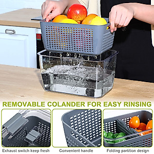 6 Pack Fruit Storage Containers for Fridge Produce Saver Containers for Refrigerator Fruit Containers for Fridge Keep Fresh with Lids Colander and Dividers for Salad Lettuce Berry Vegetable