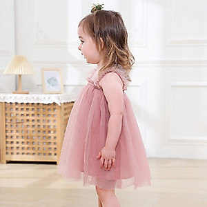 Century Star Baby Girl Dresses First Birthday Outfit Girl 1st Birthday Girl Outfit Baptism Toddler Flower Dress Half Birthday Outfit Easter Tulle Tutu Infant Gifts 12-18 Months A Dusty Rose