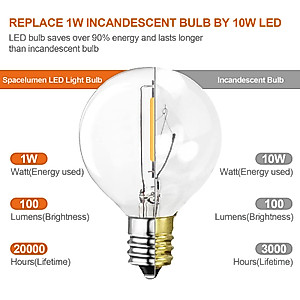 Spacelumen 2200K G40 LED Light Bulbs Replacement, 1W E12/C7 Screw Base Socket Glass Globe Warm White Light Bulbs for Indoor Outdoor String Lights 25 Pack