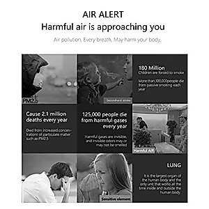 Personal Air Purifier,Air Purifier Necklace Around The Neck,2021 Upgrade New Trave size Remove Pet Smell/OutDoor by IGOKOTI