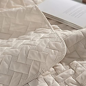 Bedsure Queen Quilt Bedding Set - Lightweight Summer Quilt Full/Queen - Beige Bedspreads Queen Size - Bedding Coverlets for All Seasons (Includes 1 Quilt, 2 Pillow Shams)