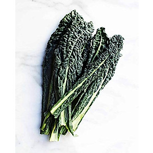Lacinato Kale Seeds (Brassica oleracea VAR. palmifolia), 1 Gram Seeds for Planting, Non-GMO, Heirloom Gardening & Microgreens - Aka Dinosaur Kale, Lacinato Italian Tuscan Kale Garden.