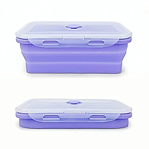 Lunbengo Purple Collapsible Sandwich Container, Silicone Lunch Container Bento Box with Plastic Lid, Microwave Safe, Camping Bowl For Meal Prep, Travel and Hiking, 40oz/1200ML