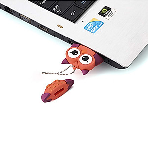 GARRULAX USB Flash Drive, 8GB / 16GB / 32GB USB2.0 Cute Animal USB Memory Stick Date Storage Pendrive Thumb Drives for Kids Children Collegue Student(64GB, Owl)