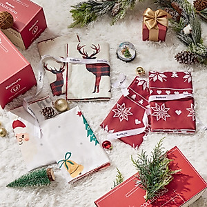 Bedsure Christmas Duvet Cover Queen - Holiday Bedding Collection Featuring a Christmas Snowflakes Pattern, Includes 1 Duvet Cover and 2 Pillow Shams (Queen, Snowflake)