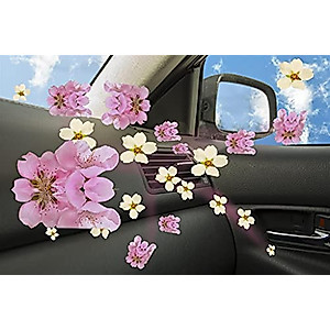 CARPRO SO2Pure 2.0 Odor Eliminator - Neutralize Odors, Cigarette Smoke, Exhaust, Chemical Smell or VOCs, Even Pet Smells from Car Fabric & Plastic, Use on Any Surface, Anywhere - 120mL (4oz)