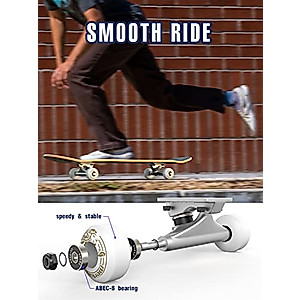 M Merkapa 31"x8" Skateboard for Adults Teens Youths Kids Beginners, 8 Layer Canadian Maple Double Kick Deck Concave Fit for Skateboarding, Cruising, Carving, Tricks (with T Tool)