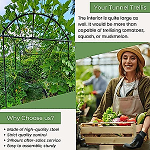 Ambikun Garden Trellis 82in Extra Tall Polyethylene-Coated Stainless Steel Trellis for Climbing Plants Outdoor Garden Climbing Arch | Garden Supplies with Mounting Clips and Nylon Net