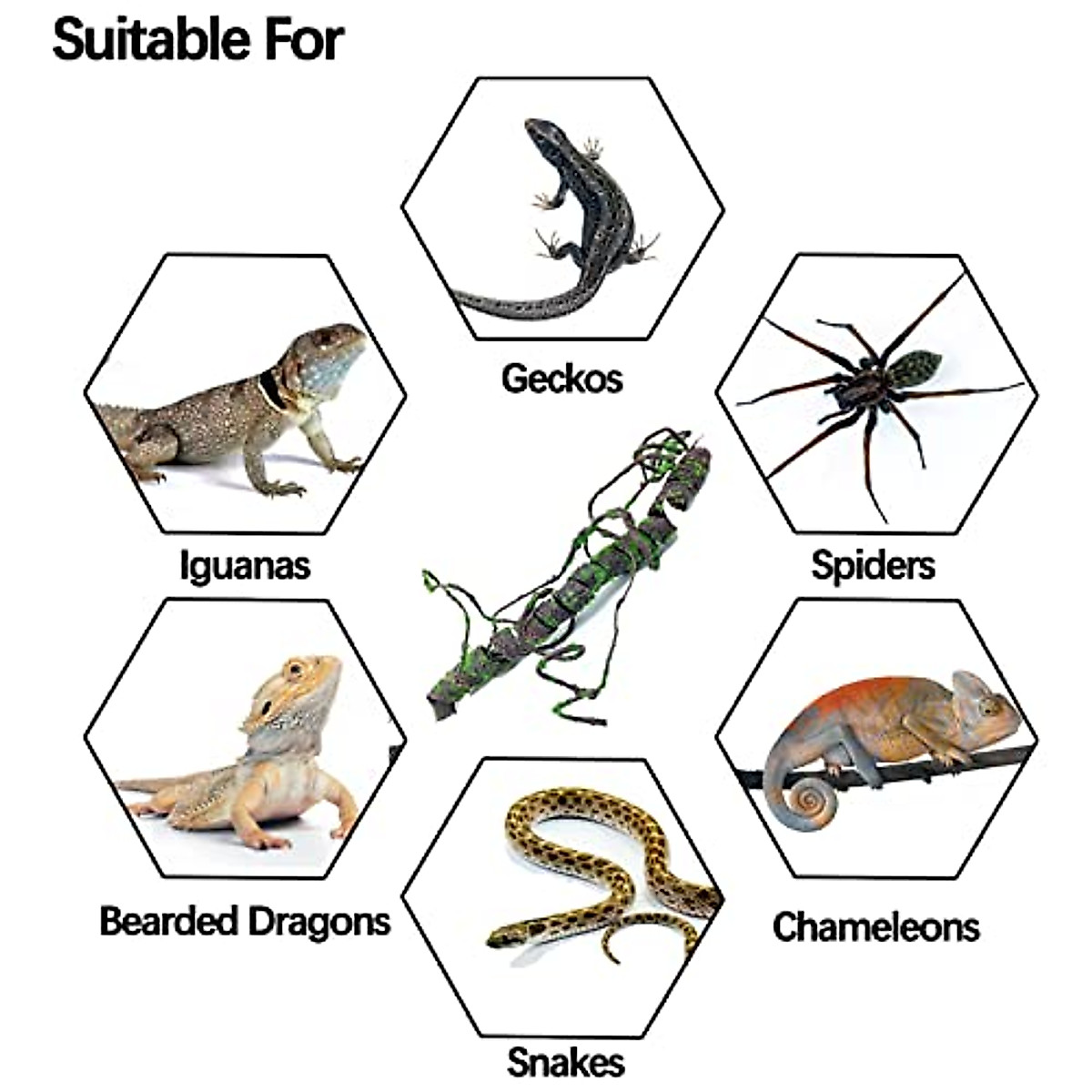 BNOSDM Reptile Vines Plants Flexible Jungle Climbing Vine Natural Moss Rope Jungle Decor for Bearded Dragons Lizards Snake Chameleon Geckos