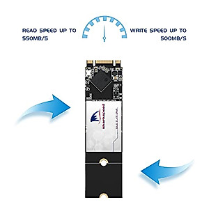 256GB Internal SSD M.2 2280 NGFF SHARKSPEED Plus 3D NAND SATA III 6 Gb/s,Internal Solid State Drive for Notebooks Desktop PC (M.2 2280 256GB)