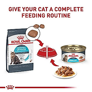 Royal Canin Feline Care Nutrition Urinary Care Adult Dry Cat Food, 6 lb Bag