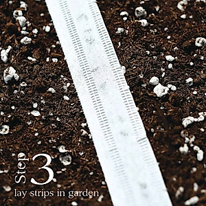 Park Seed Romance Hybrid Carrot Seed Tape, Easy to Grow, 2 Packs of 15 Foot Seed Tape