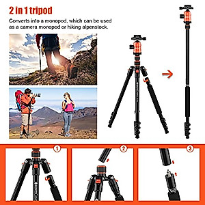 [Upgrade Version] GEEKOTO 77'' Tripod, Aluminum Camera Tripod Monopod, Foldable DSLR Tripod for Travel, Compact Tripod with 360 Panorama Ball Head Quick Release Plate for Travel and Work