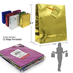 Allgala 12-PC 9 x7 Inch Medium Premium Hologram Gift Bags-GP50301