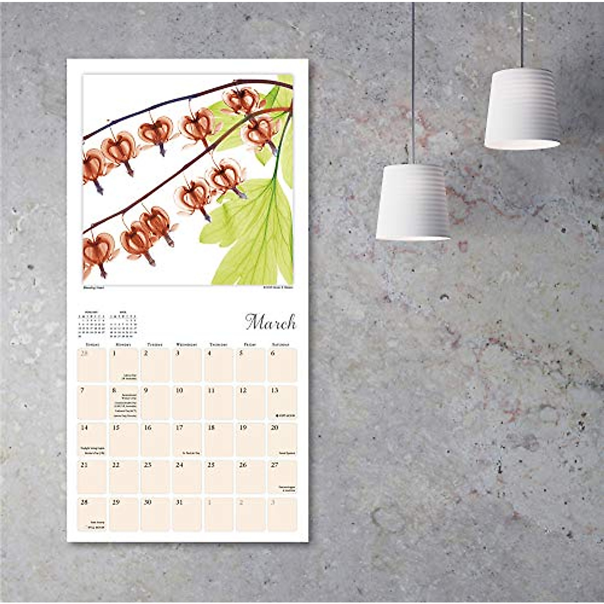 2021 Flower Spirits Radiographs of Nature by Steven N. Meyers 16-Month Wall Calendar