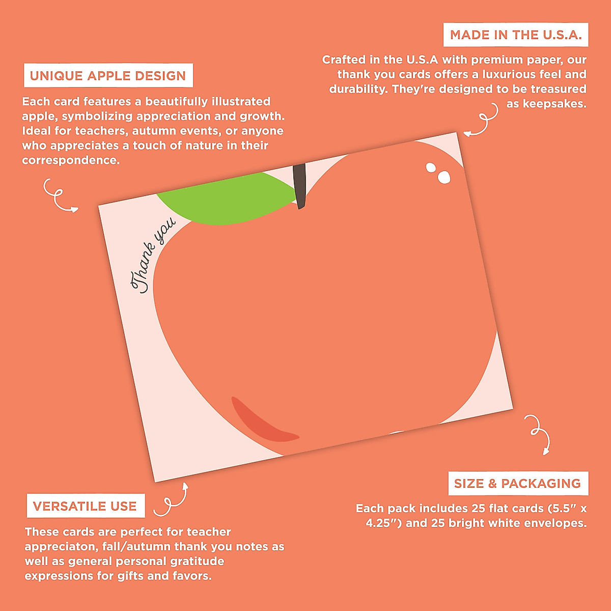 Koko Paper Co Apple-Themed Thank You Cards for Teacher Appreciation, Autumn Celebrations, and More! 25 Flat Cards + 25 Bright White Envelopes. Made in the U.S.A.
