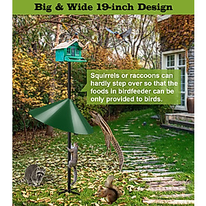 Ansionsol 19 Inch Wide Squirrel Baffle for Bird Feeder Pole, Outside Pole Mount Stopper & Bird House Guard for Outdoor Shepherd’s Hook, Green, 1 Pack