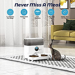 Sobralik Elevated Automatic Cat Feeder for Two Cats, 5L Dry Food Dispenser with Splitter and Two Stainless Bowls, 4 Meal Per Day and Portion Control, 10s Voice Recorder, Dual Power Supply