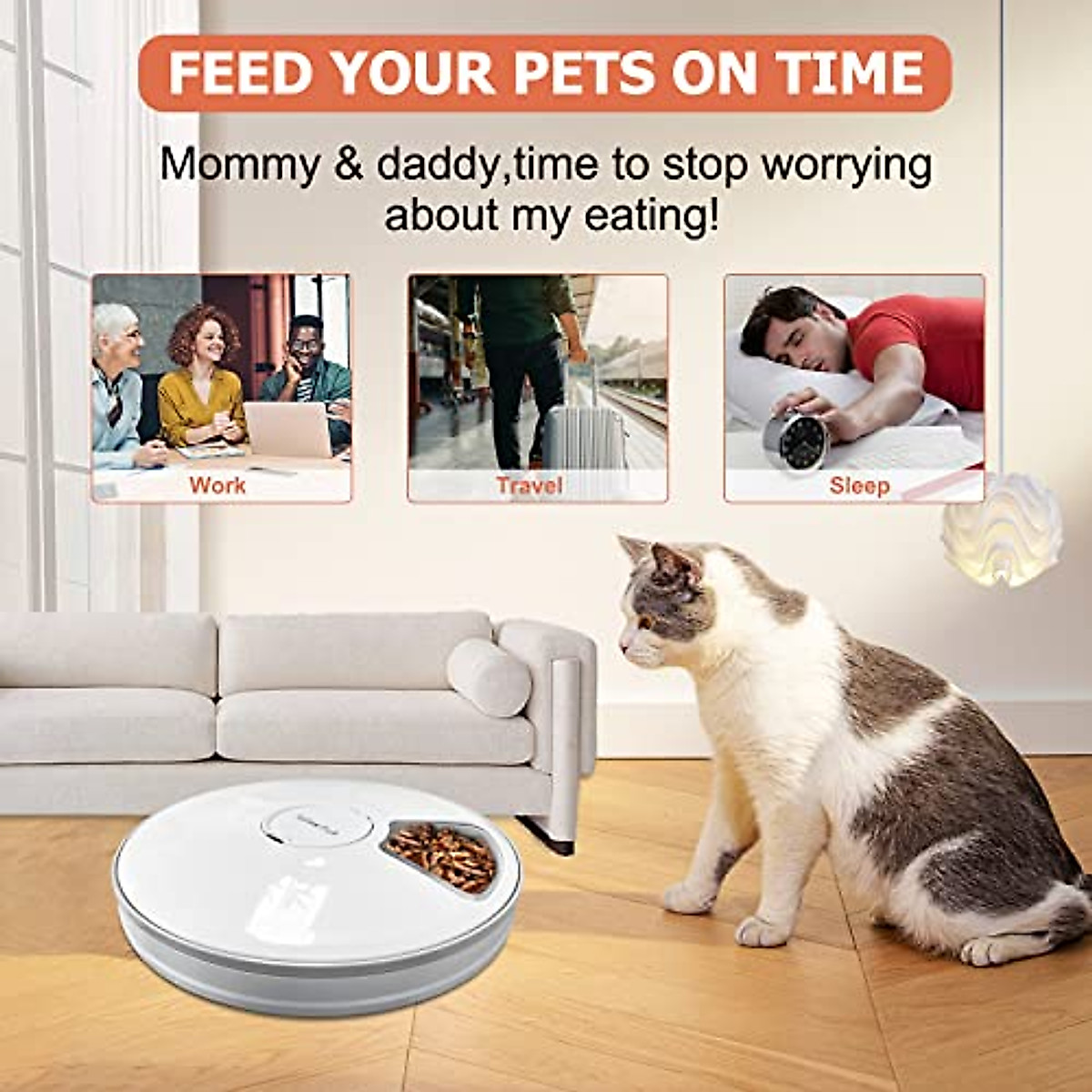 Pets Automatic Timed Pet Feeder,4pawslife 6 Meal Food Dispenser for Dogs, Cats & Small Animals Auto Feeder with Music