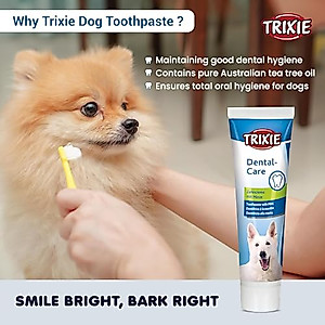 TRIXIE Mint Toothpaste for Dog, 100 G, White