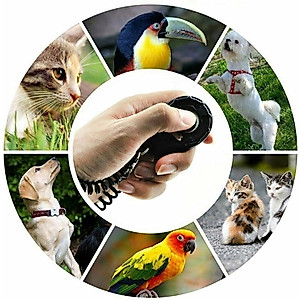 Black Clicker Easy to Use with Button Dog Training Accessories Agility Equipment,Training and Behavior Aids,Dogs