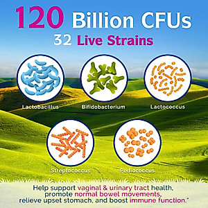 Innate Vitality Women's Probiotics, 120 Billion CFU, 32 Tested Strains, Probiotics for Women, Yeast Control, Vaginal pH Support, Prebiotics, Digestive Enzymes, Cranberry, Once Daily 30 Veggie Capsules