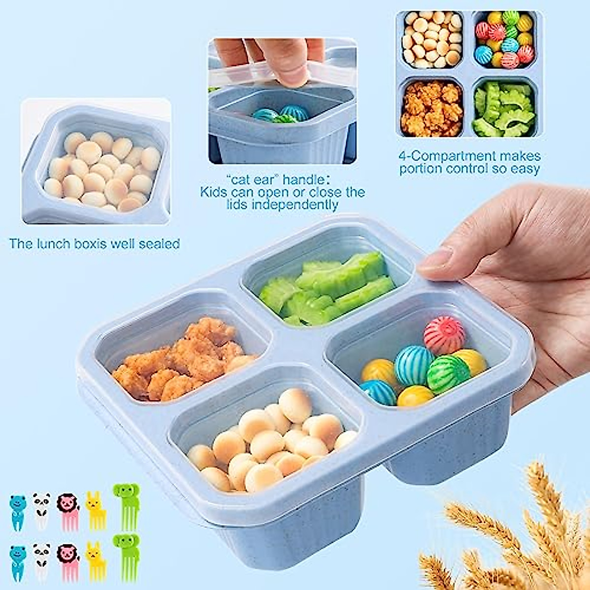 mzvcopm 4 Pack Snack Containers,Divided Bento Lunch Box with Transparent Lids, Reusable Meal Prep Lunch Containers for Kids and Adults,No BPA, 4 Compartment Food Storage Containers